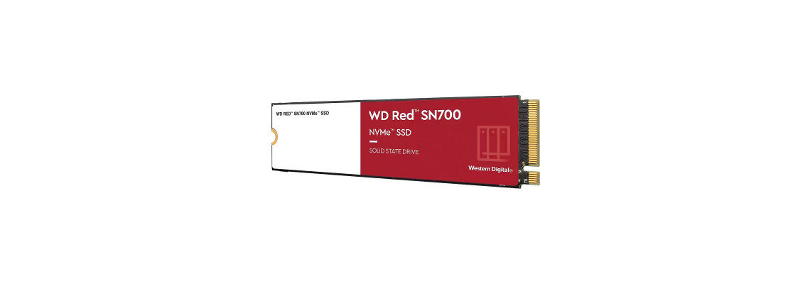 Western Digital SSD M.2 WD Red SN700 2TB Disques SSD Western Digita...