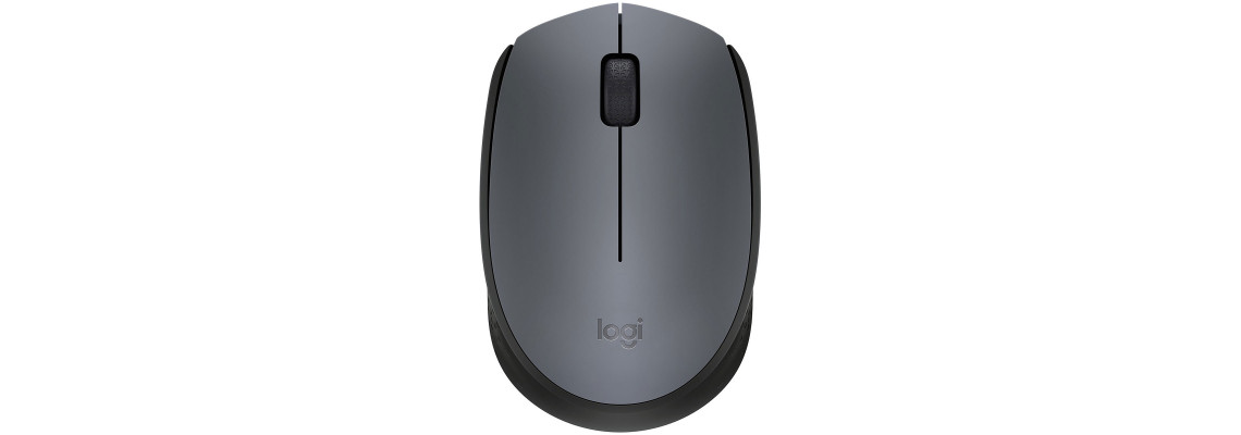 Logitech M170 Wireless Mouse (Gris) Souris Logitech Maroc