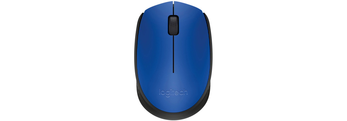 Logitech M171 Wireless Mouse (Blue) Souris Logitech Maroc