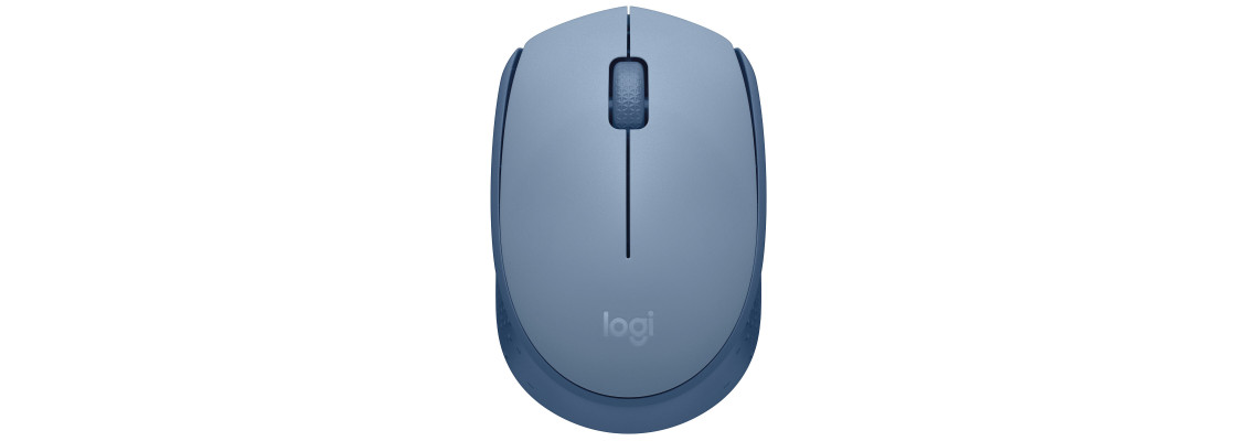 Logitech M171 Wireless Mouse (Blue Gray) Souris Logitech Maroc