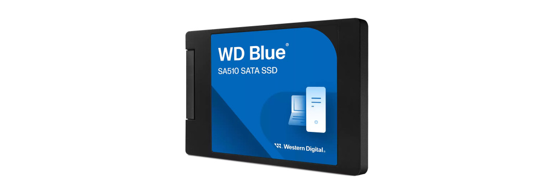 Western Digital SSD WD Blue SA510 1 To - 2.5" (WDS100T3B0A) Disques...