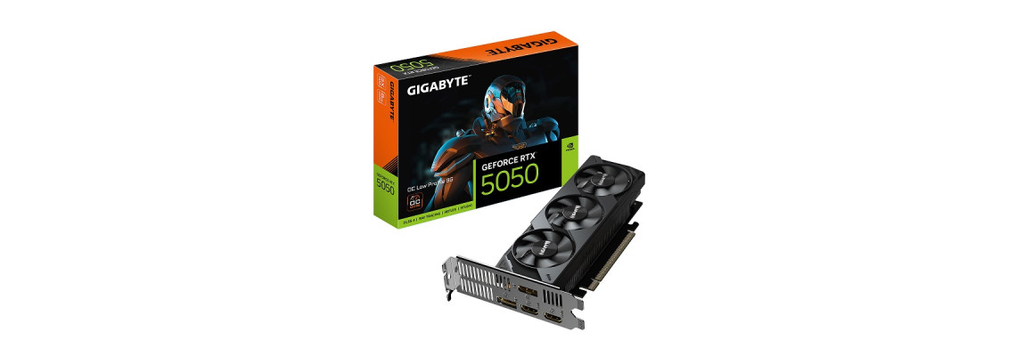 Gigabyte GeForce RTX 5050 OC Low Profile 8G Cartes graphiques Gigab...