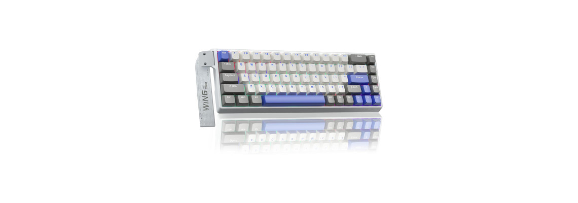 AULA WIN68 HE MAX Grey&White&Blue (Magnetic Switch) Claviers AULA M...
